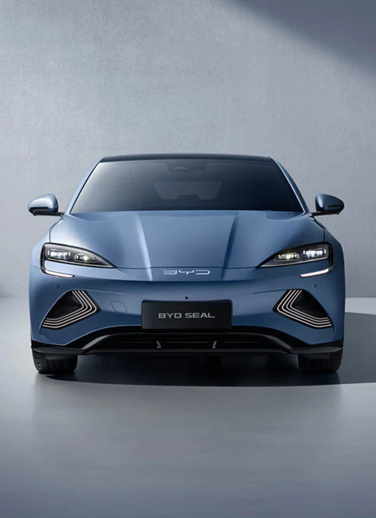 BYD Premium Puddle Door & Wing Mirror Lights For All Models – Custom ...