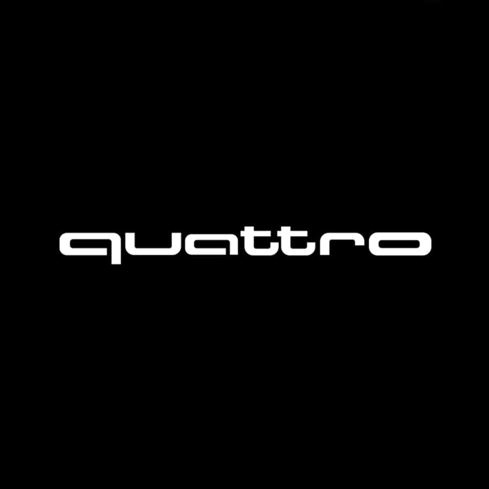 Audi e-tron Q4 Dynamic Dual Lens Premium Door Puddle Lights Multiple D ...