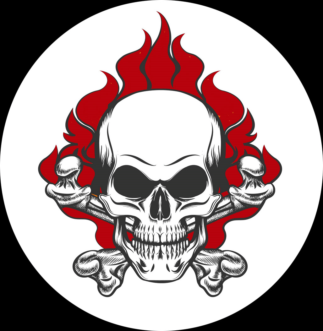 Custom LED Courtesy Door / Side Mirror Projector Puddle Lights for Vol ...