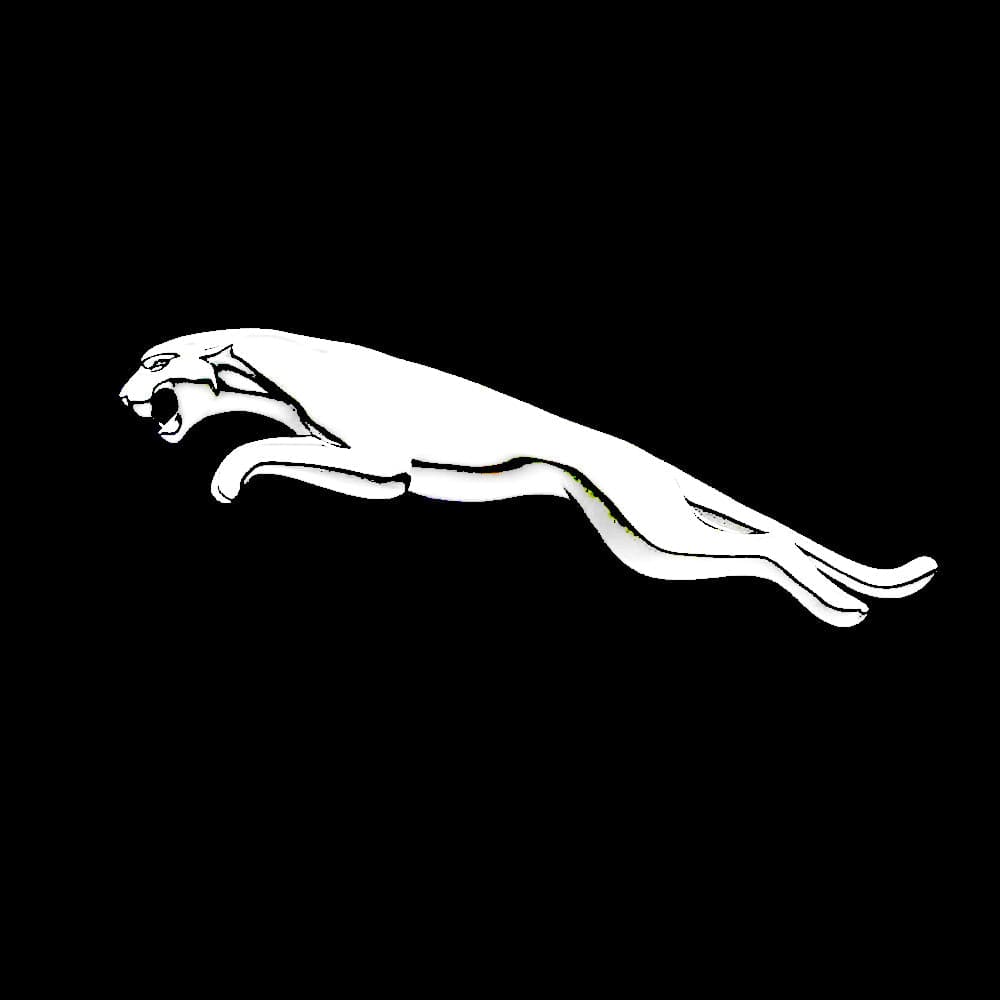 Jaguar F-Type X152 Premium Door Puddle Lights Various Designs 2013-202 ...